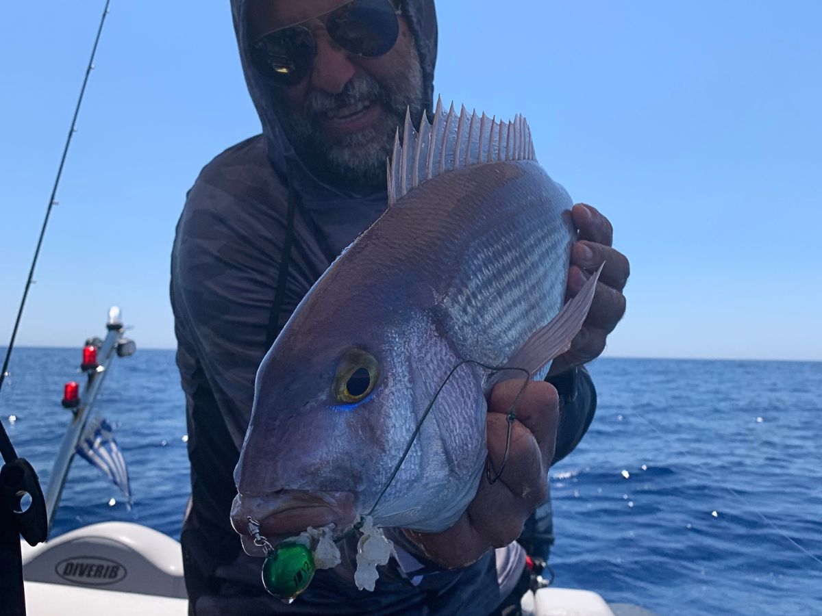 MajorCraft Grandship Hitotsu Tenya | ifishing - Όλα για το Ψάρεμα