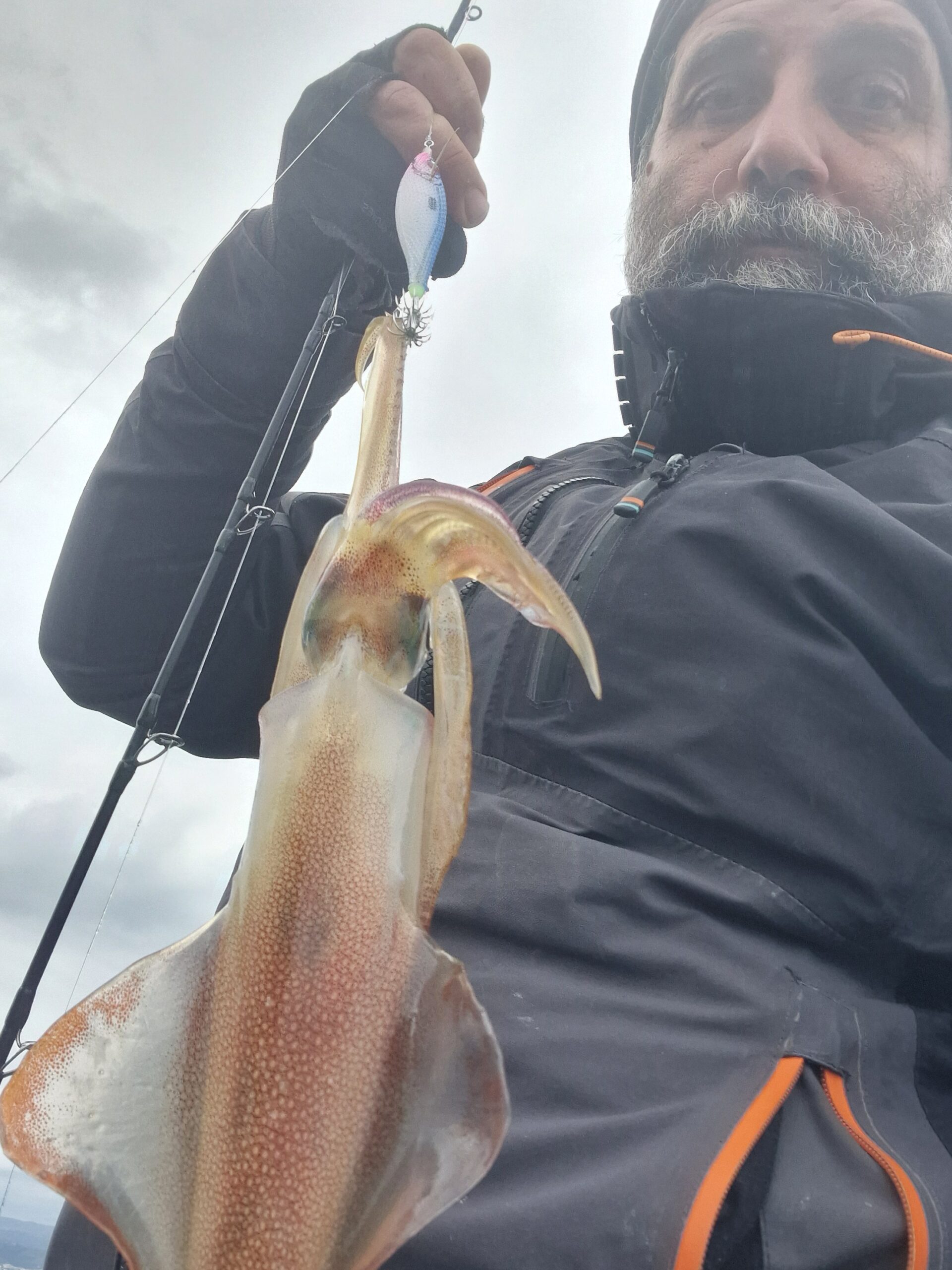 Τεχνική Καλαμάρια από βάρκα | ifishing - Όλα για το Ψάρεμα